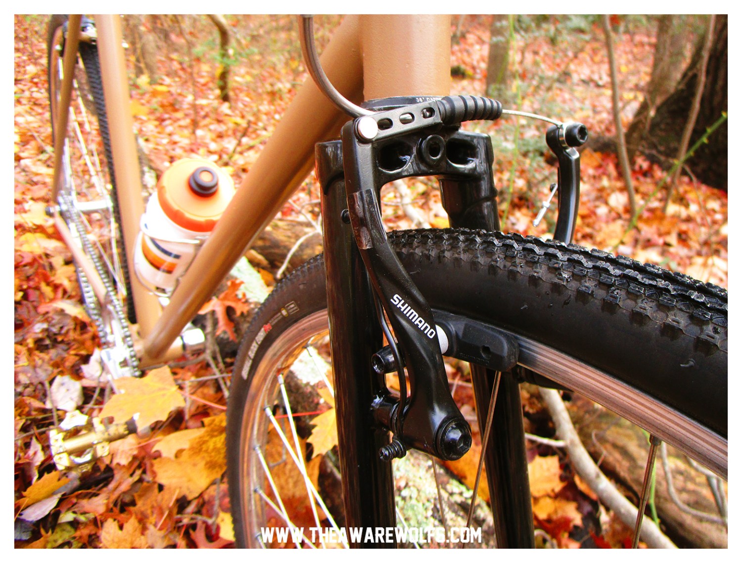 REVIEW : STATE BICYCLE CO CONTENDER FIXED GEAR | The Awarewolfs